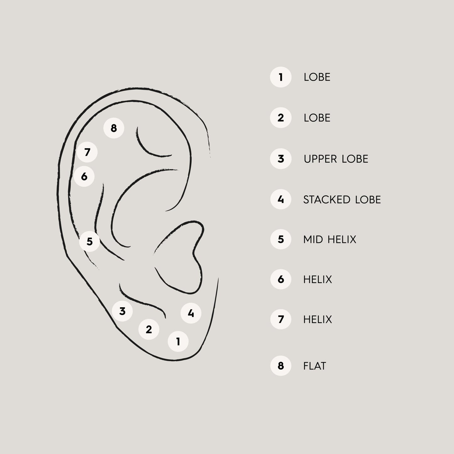 PIERCING STUDIO – PILGRIM