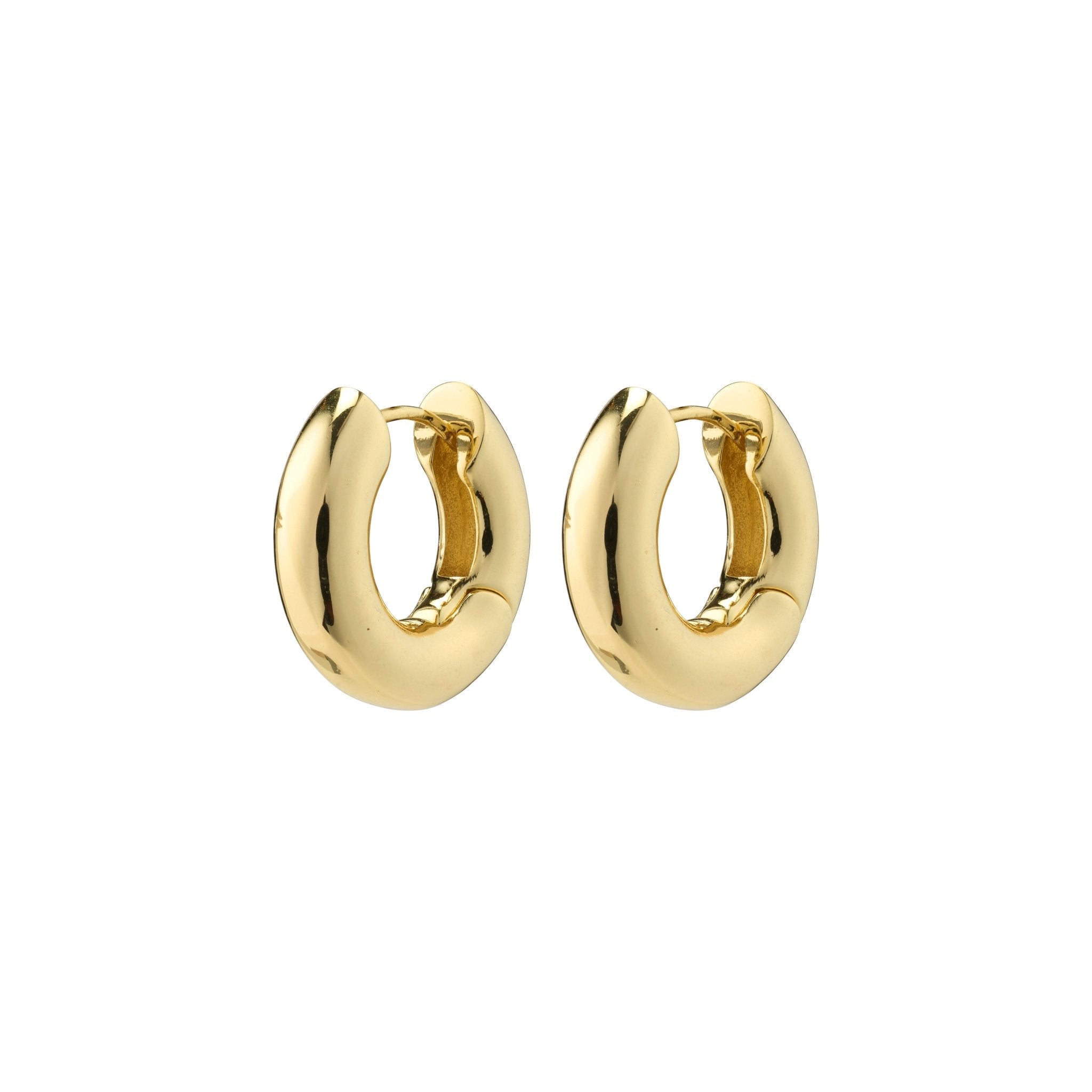AICA Small Recycled Chunky Hoop Earrings 22MM – PILGRIM